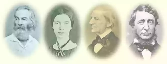 American Poetry : in The 19th Century