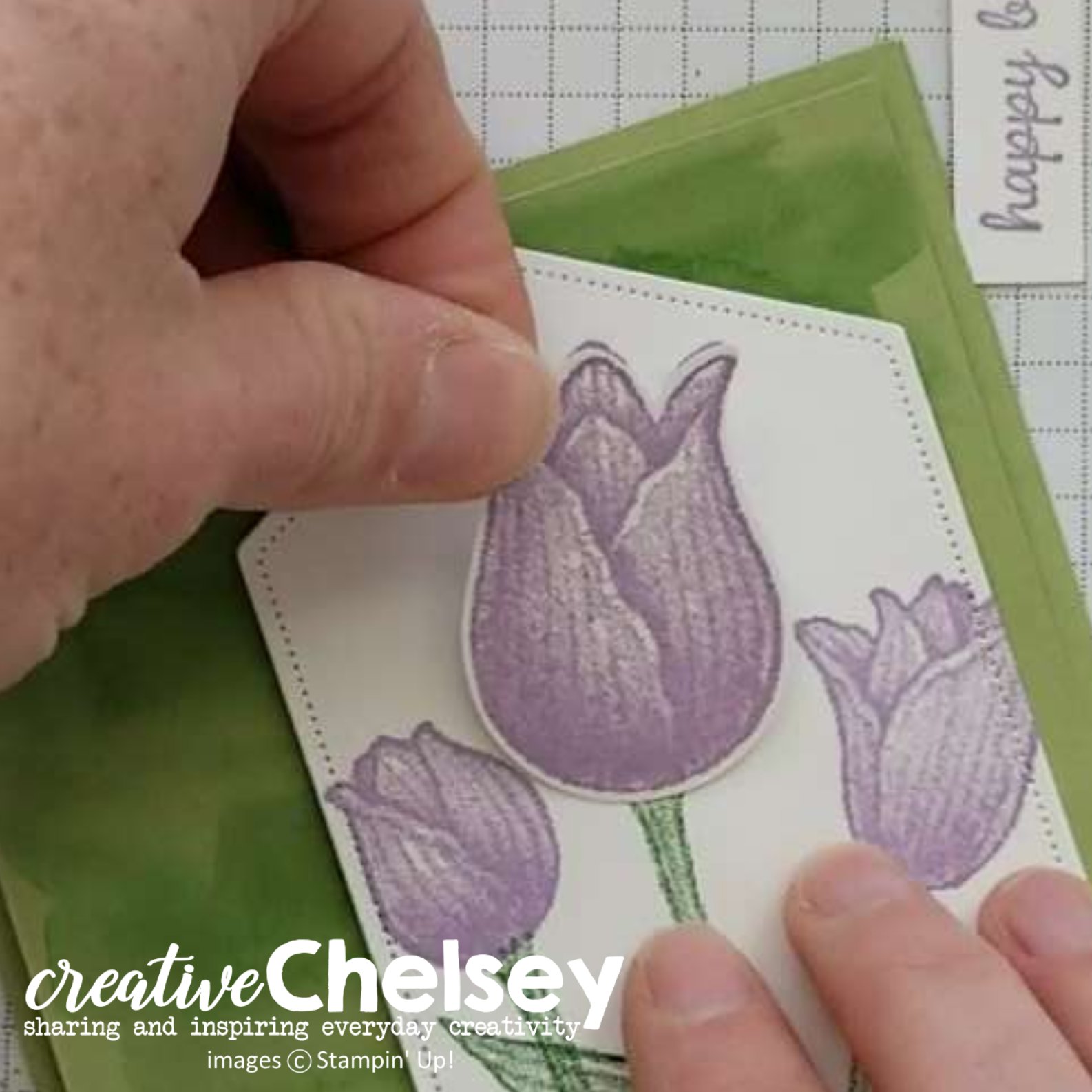 Creative Chelsey: Stampin Up New Product Spotlight - Timeless Tulips ...
