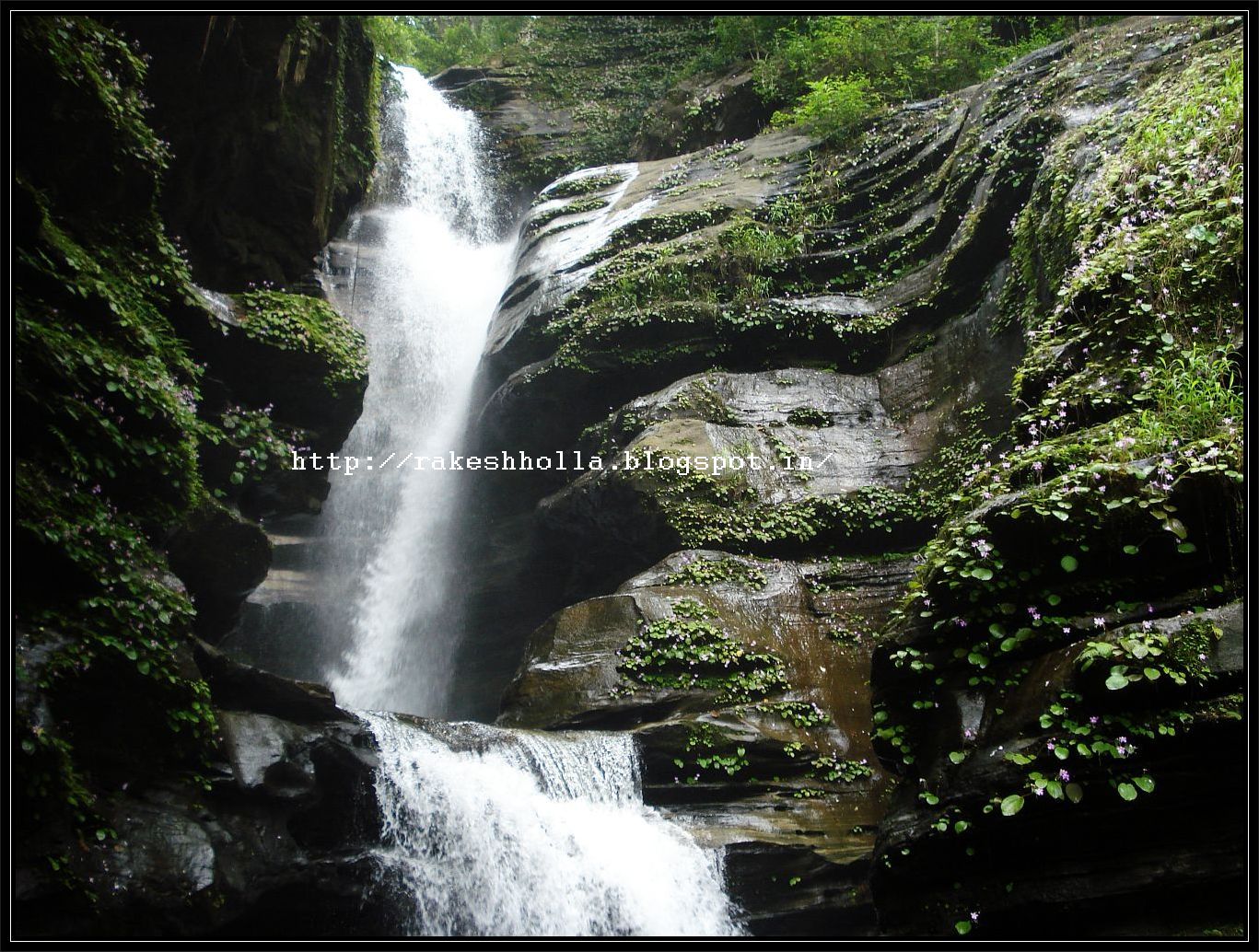 The Voice of Greenery - Trekking and Travelling in Western Ghats ...