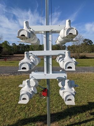 The Birds & The Bees: Easy DIY Purple Martin Gourd Rack