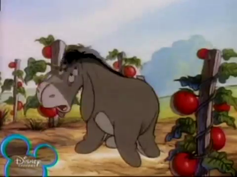 The New Adventures of Winnie The Pooh: Eeyi Eeyi Eeyore Part 1