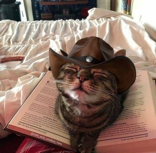 Ichabod, The Glory Has Departed: Real Texan Cats Wear Hats