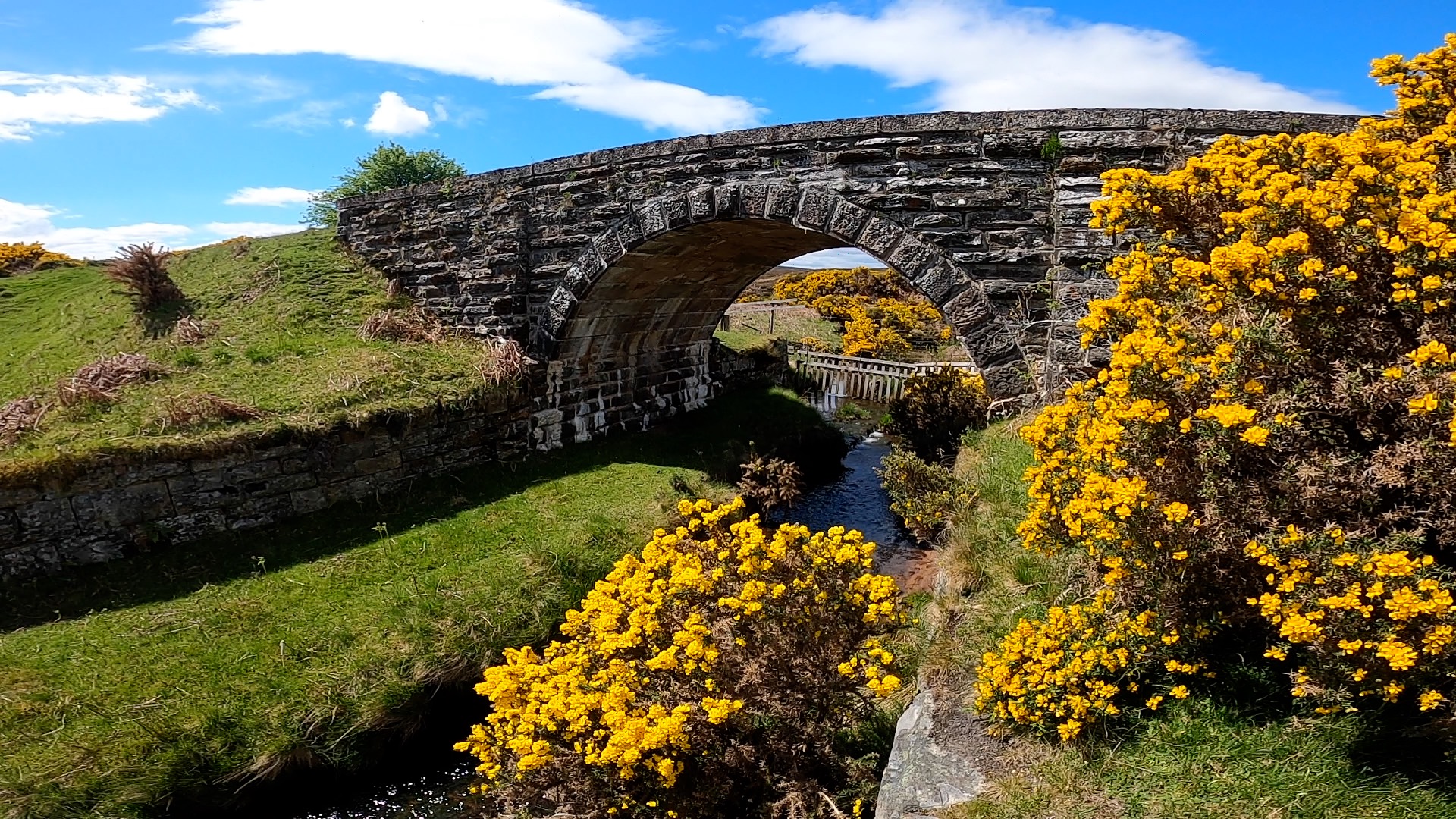 coastrider: Bikepacking the Moray Way