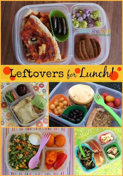 Biting The Hand That Feeds You: Leftover Lunches for Grown-Ups (Well ...