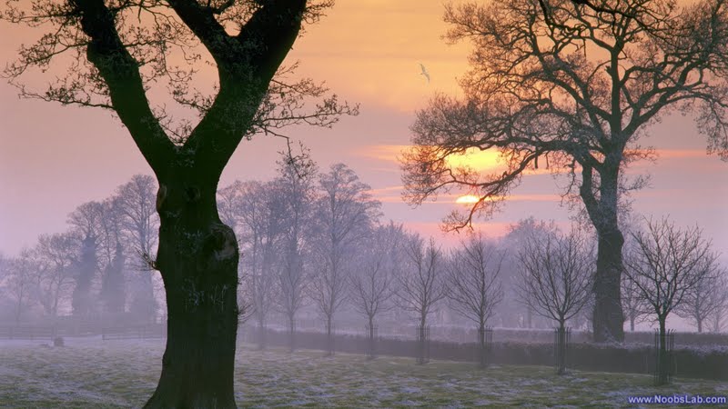 Best Webshots HD Wallpapers - NoobsLab | Eye on Digital World