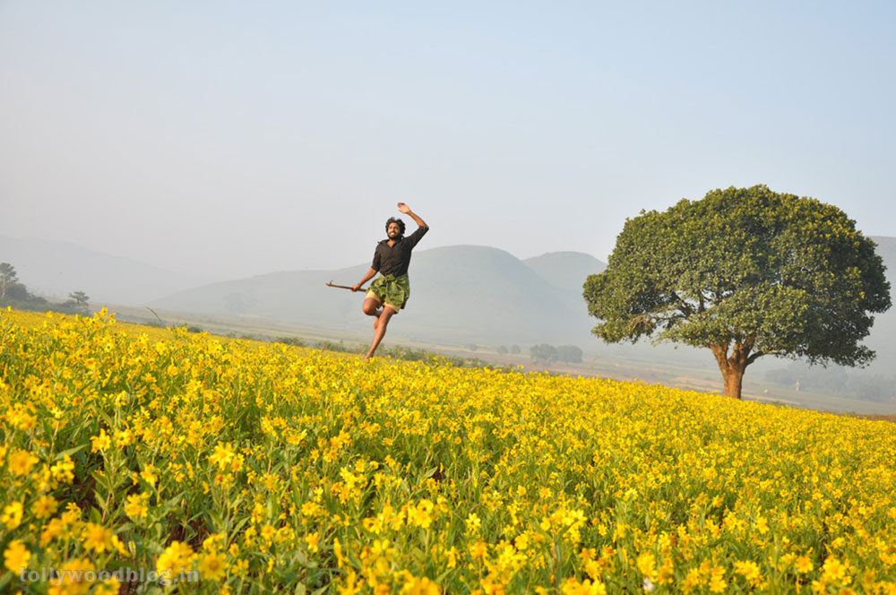 Gajaraju Telugu Movie photos stills gallery