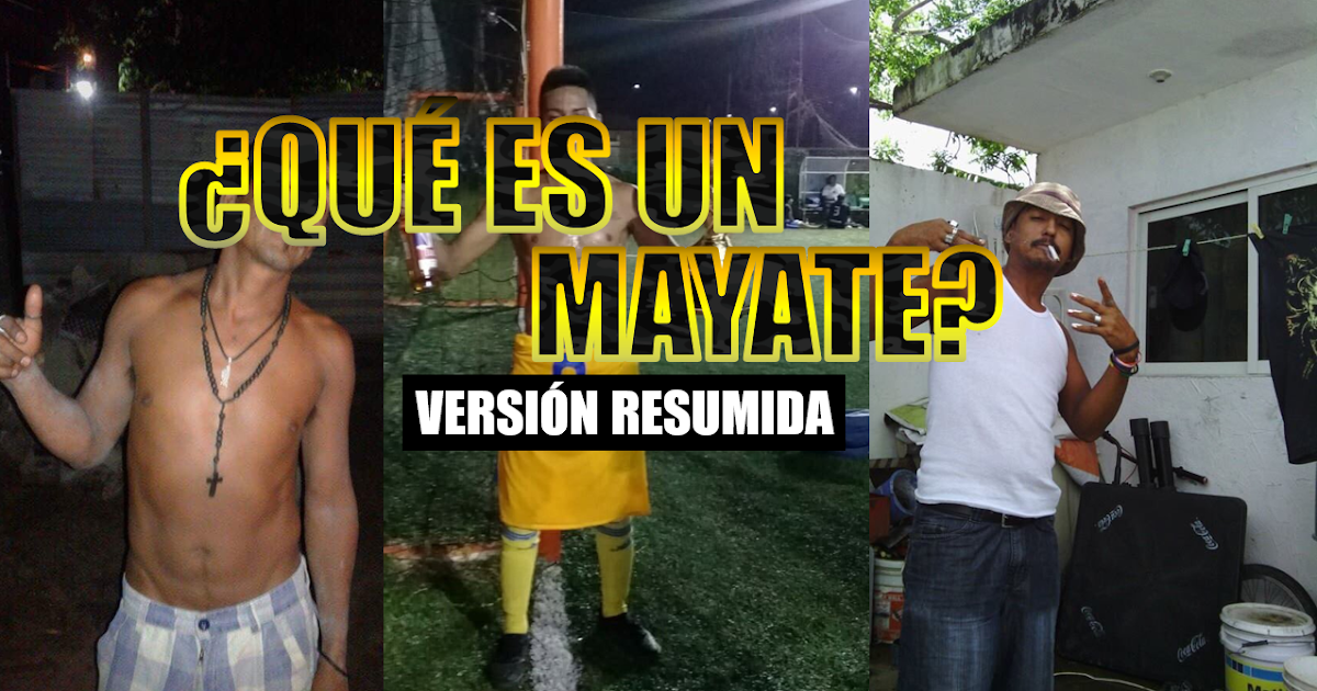 El Blog del Mayate: ¿QUÉ ES UN MAYATE? Versión resumida