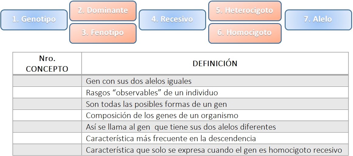 I.E SANTA ELENA - BIOLOGÍA 9°: 2. Alelismo múltiple, tipos de sangre ...