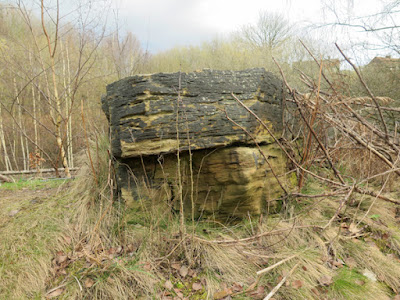The Language of Stone: An Investigation of the Treeton Rock