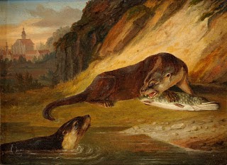 CFZ-USA: DOBHARCHU - IRELAND'S CRYPTID OTTER