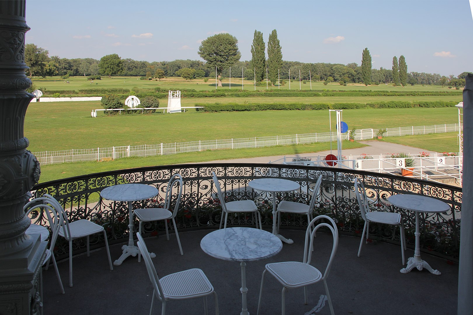 TempoSenzaTempo: Horse Racing in Old Wien