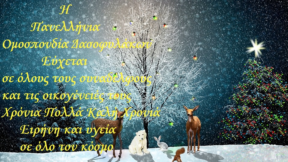 ΠΑΝΕΛΛΗΝΙΑ ΟΜΟΣΠΟΝΔΙΑ ΔΑΣΟΦΥΛΑΚΩΝ ΔΗΜΟΣΙΩΝ ΥΠΑΛΛΗΛΩΝ: 2017