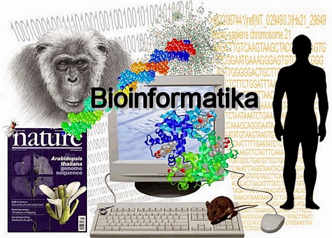 Bioinformatika | Ilalang Tua