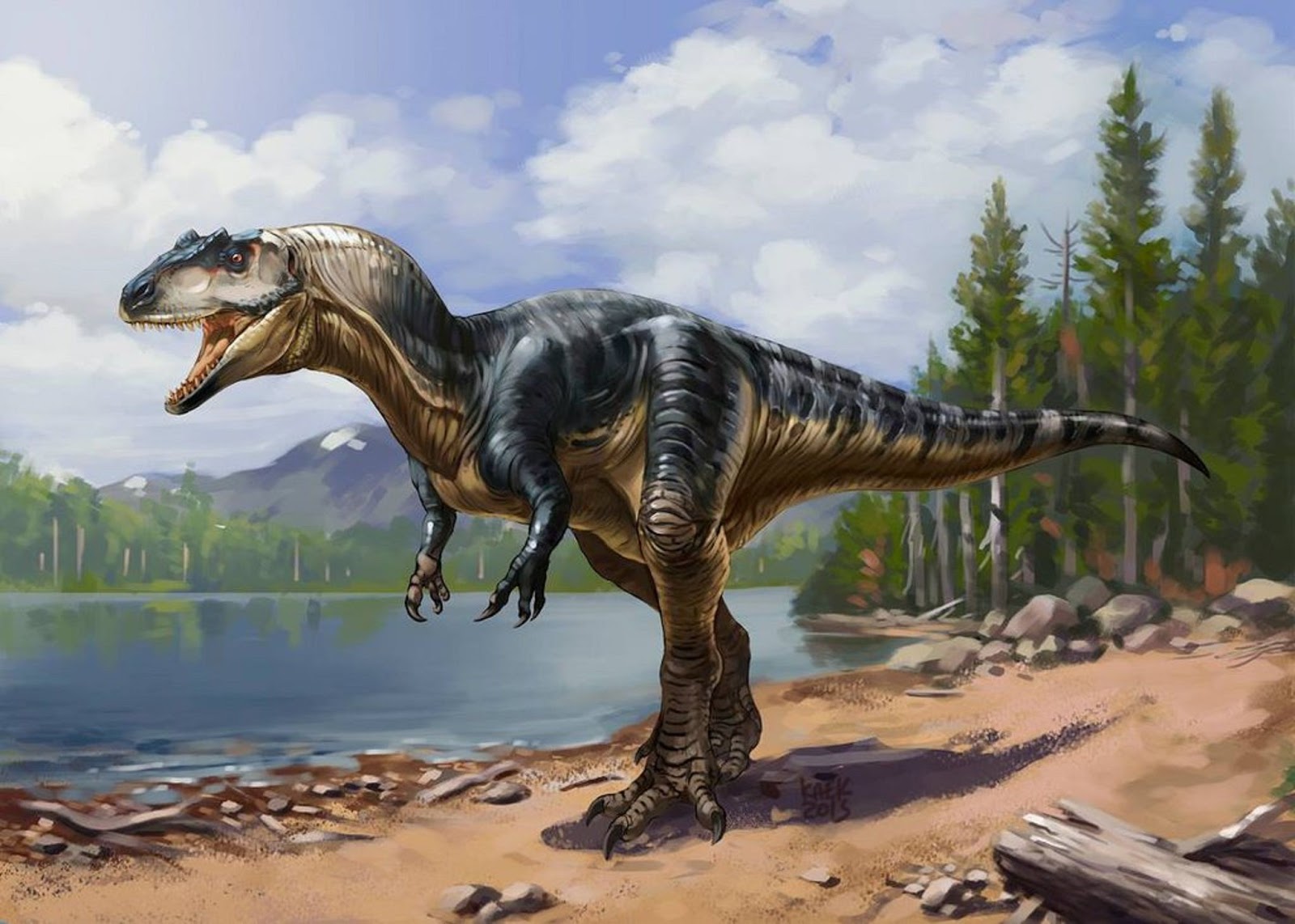 a mesozoic field guide: Allosaurus