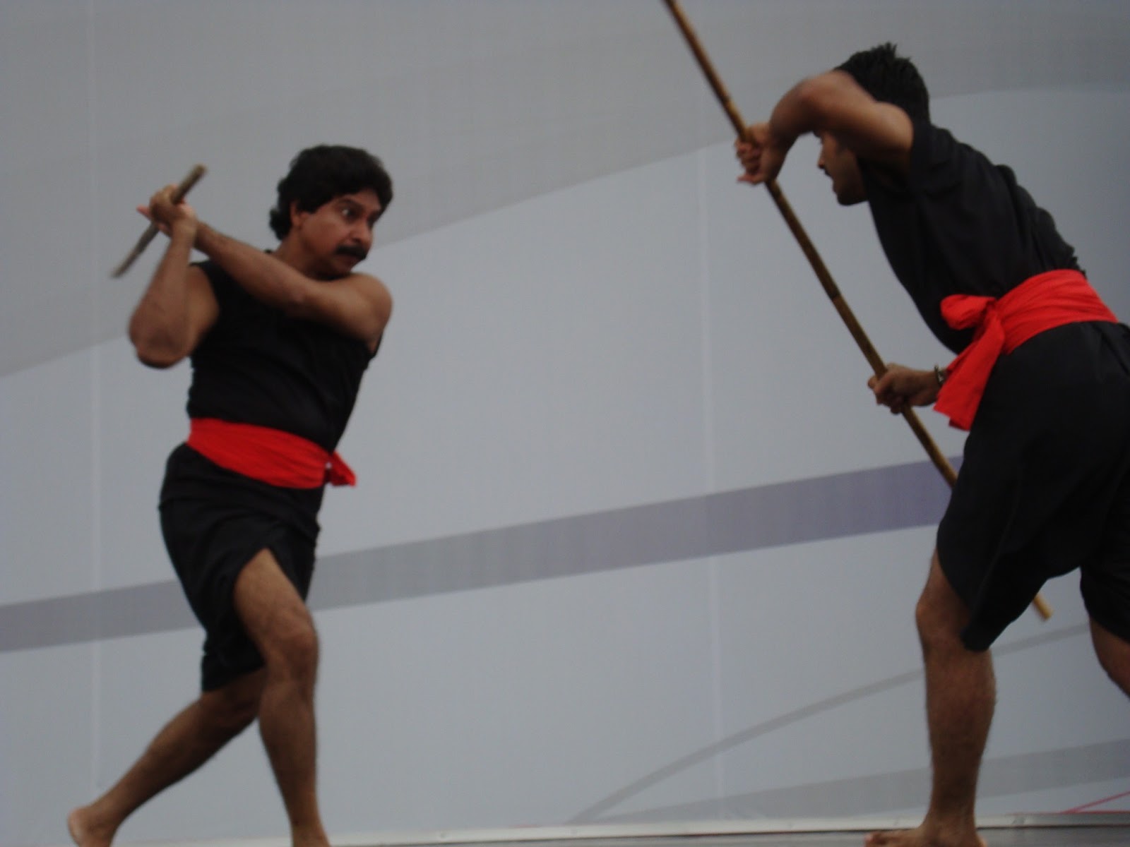 Nithya Chaithanya Kalari : The Academy of excellence: INTRODUCTION TO ...