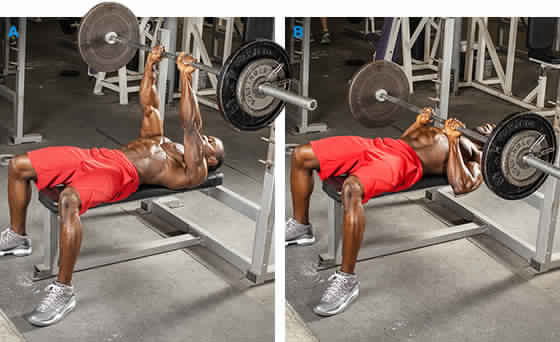The 5 Best Tricep Exercises for Mass