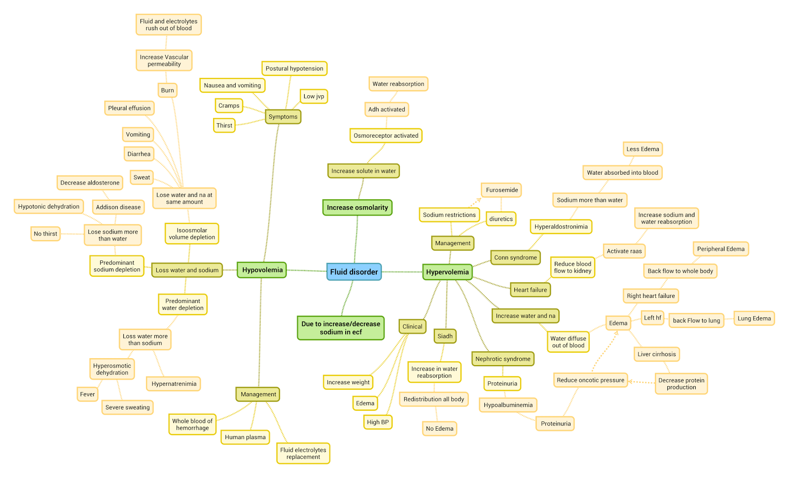 Medical Concept maps : Urinary System