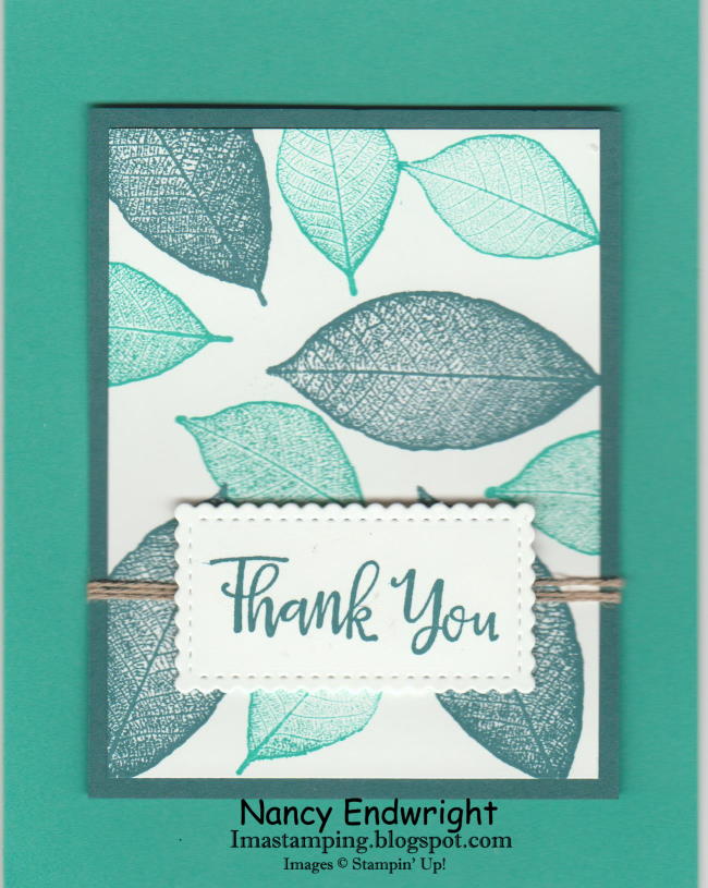 Imastamping in Indiana: Rooted in Nature - Thank you Card
