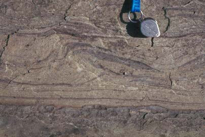 Suara Geologi: Struktur Batuan Sedimen