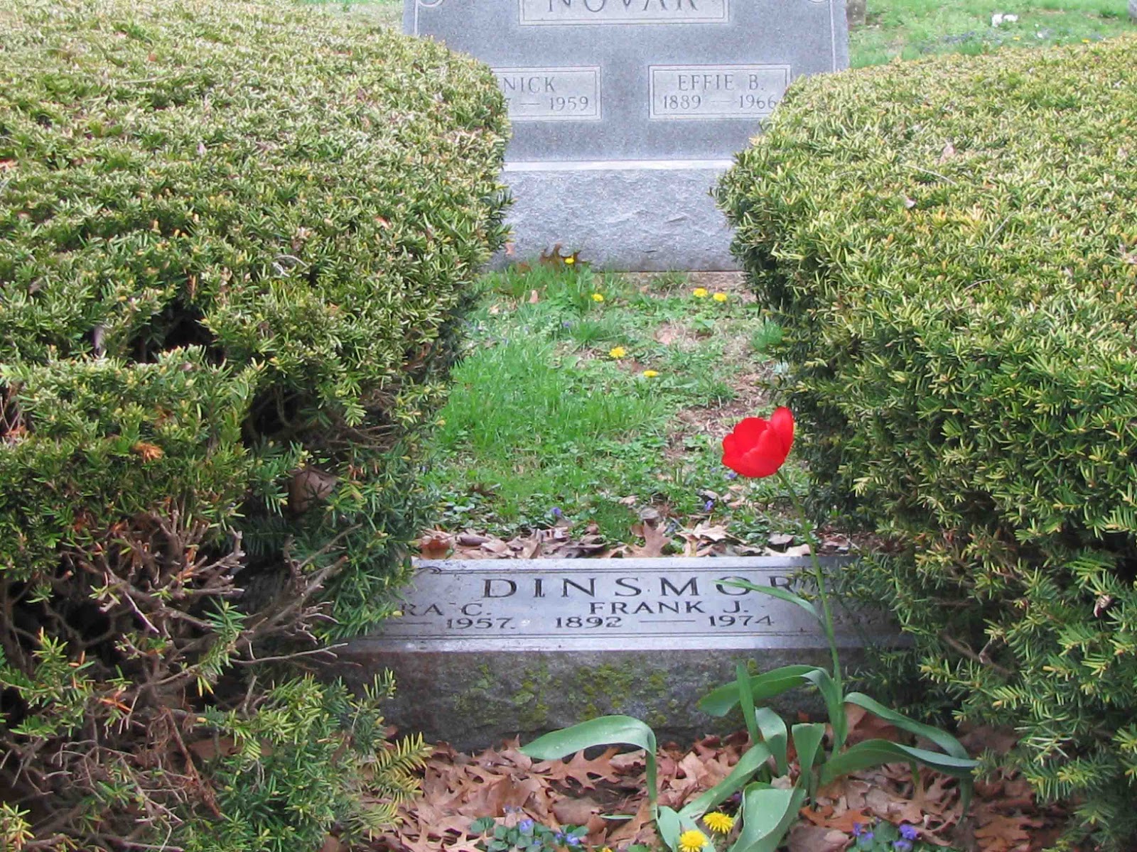A Grave Interest: Serene and Evergreen - Cemeteries Allowing Plants ...