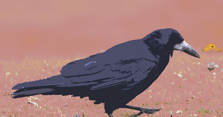 Tell Me a Story: The Rook