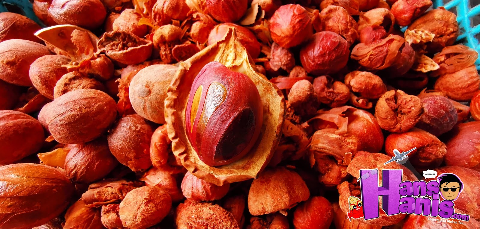 Jom Singgah Kilang Buah Pala Ghee Hup Balik Pulau