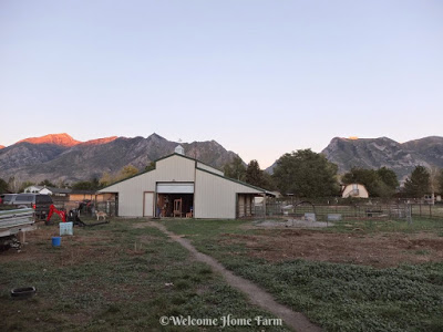 Welcome Home Farm: Map of the Farm