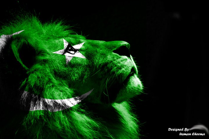 The Lions roar from Pak Army | Pakistan Defence