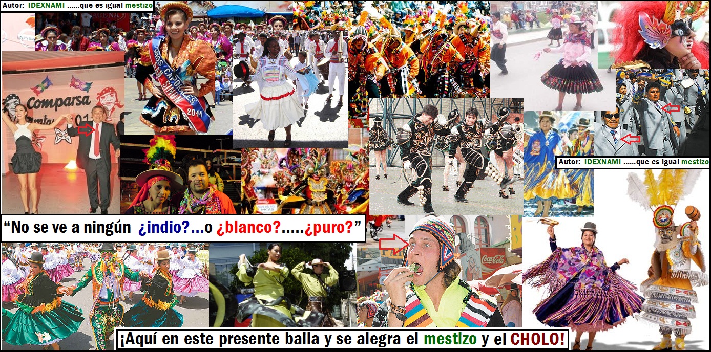 RESUMEN: ¿que se entiende por ¿indigena? y que por CHOLO-mestizo?" : 2014