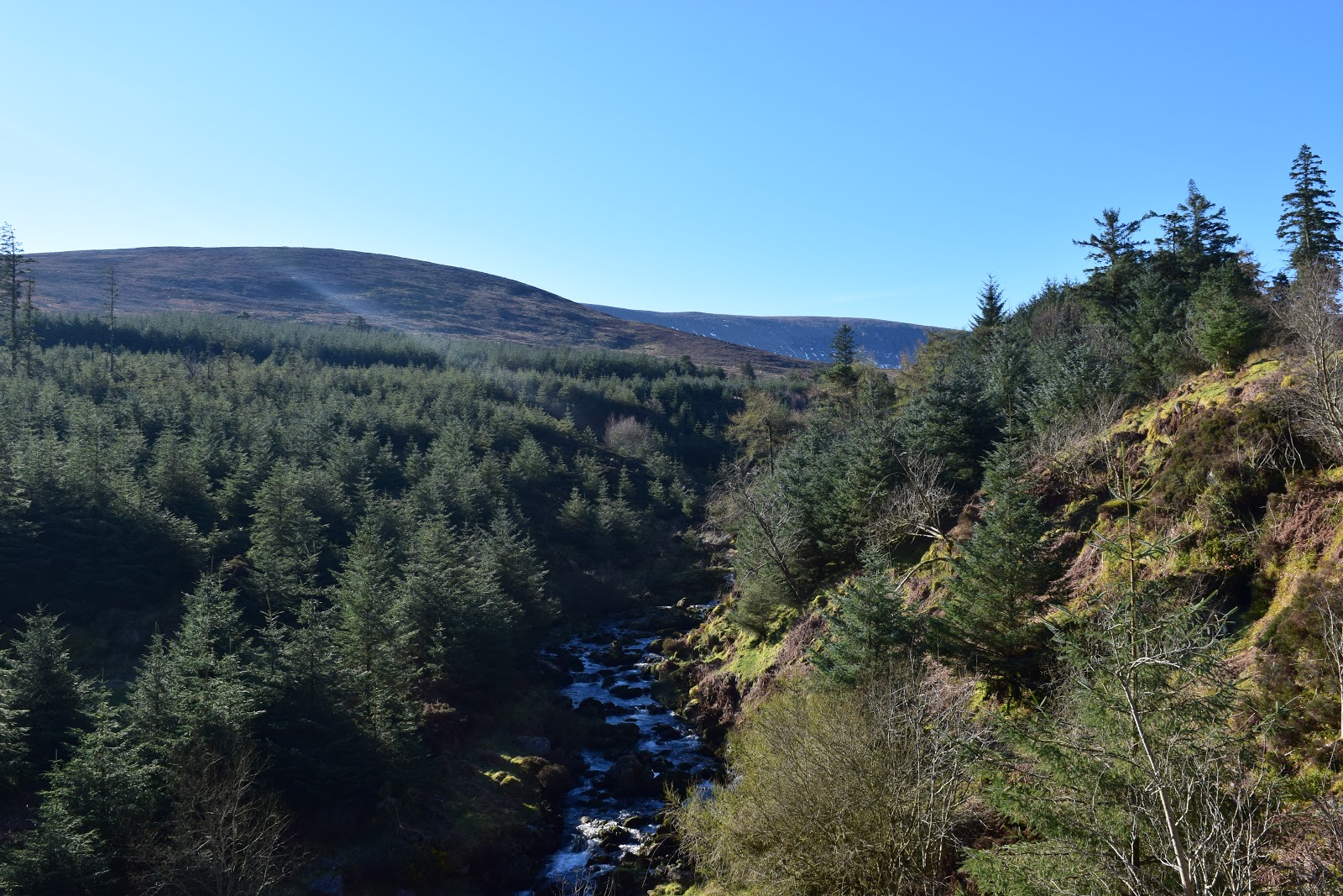 A View With A Brew: Lough Muskry