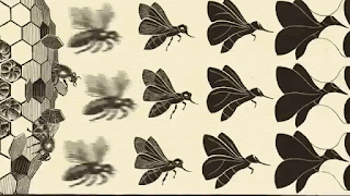 Baúl de Chity: LAS ABEJAS DE ESCHER