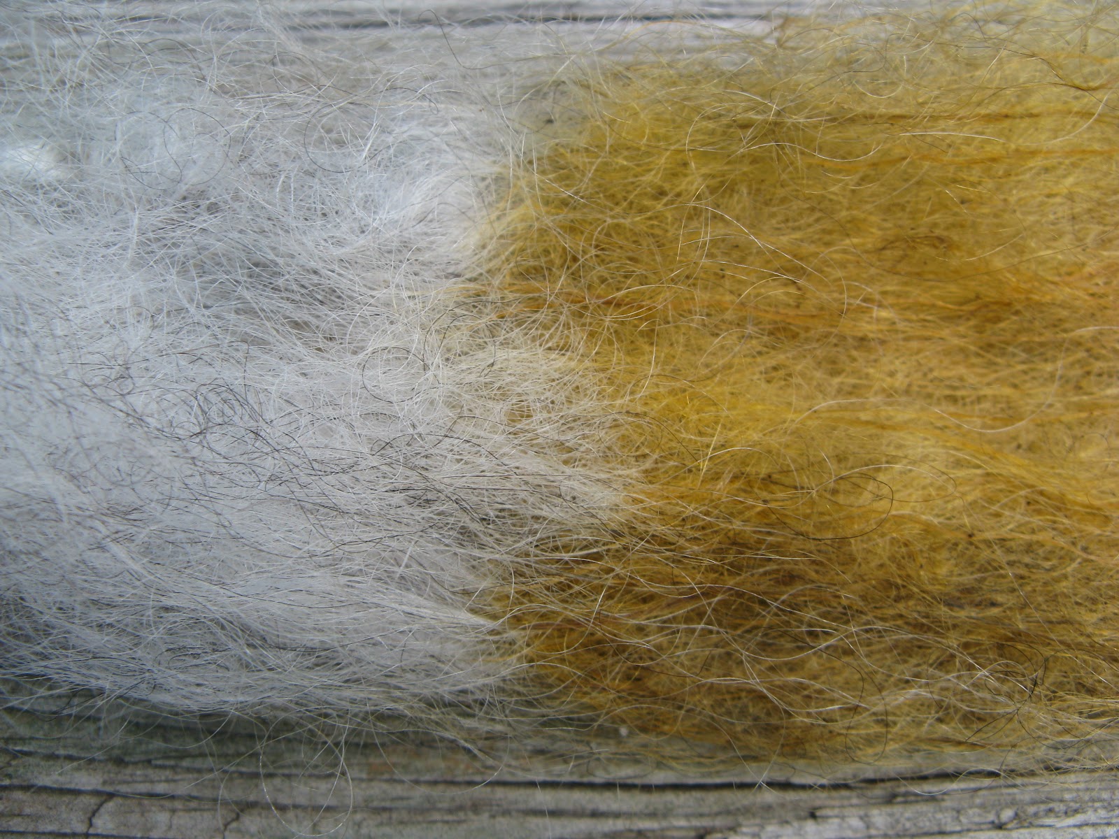 Let Me Say This About That: Dyeing to dye with walnut hulls