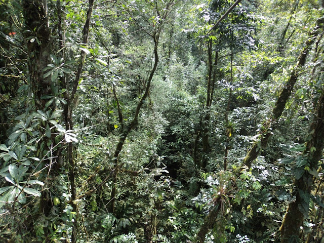 reportages: Guatemala, otto nuove destinazioni per il turismo