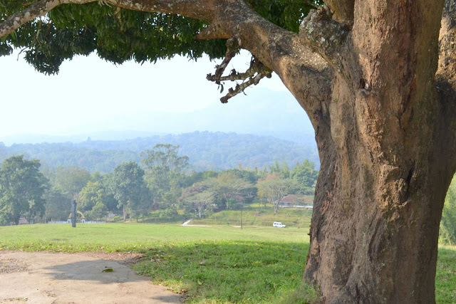 Wild Indian Explorer: Topslip & Parambikulam National Park