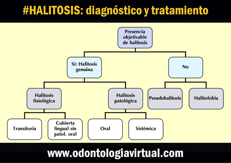 PDF: HALITOSIS: diagnóstico y tratamiento