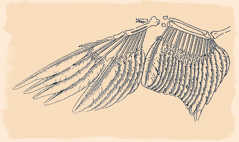 Darya Girina Zbrush Endless Way: July 2018