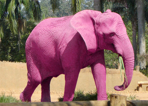 Vitaminas para el éxito: ¿Eres Un Elefante Rosa? / Are You A Pink Elephant?