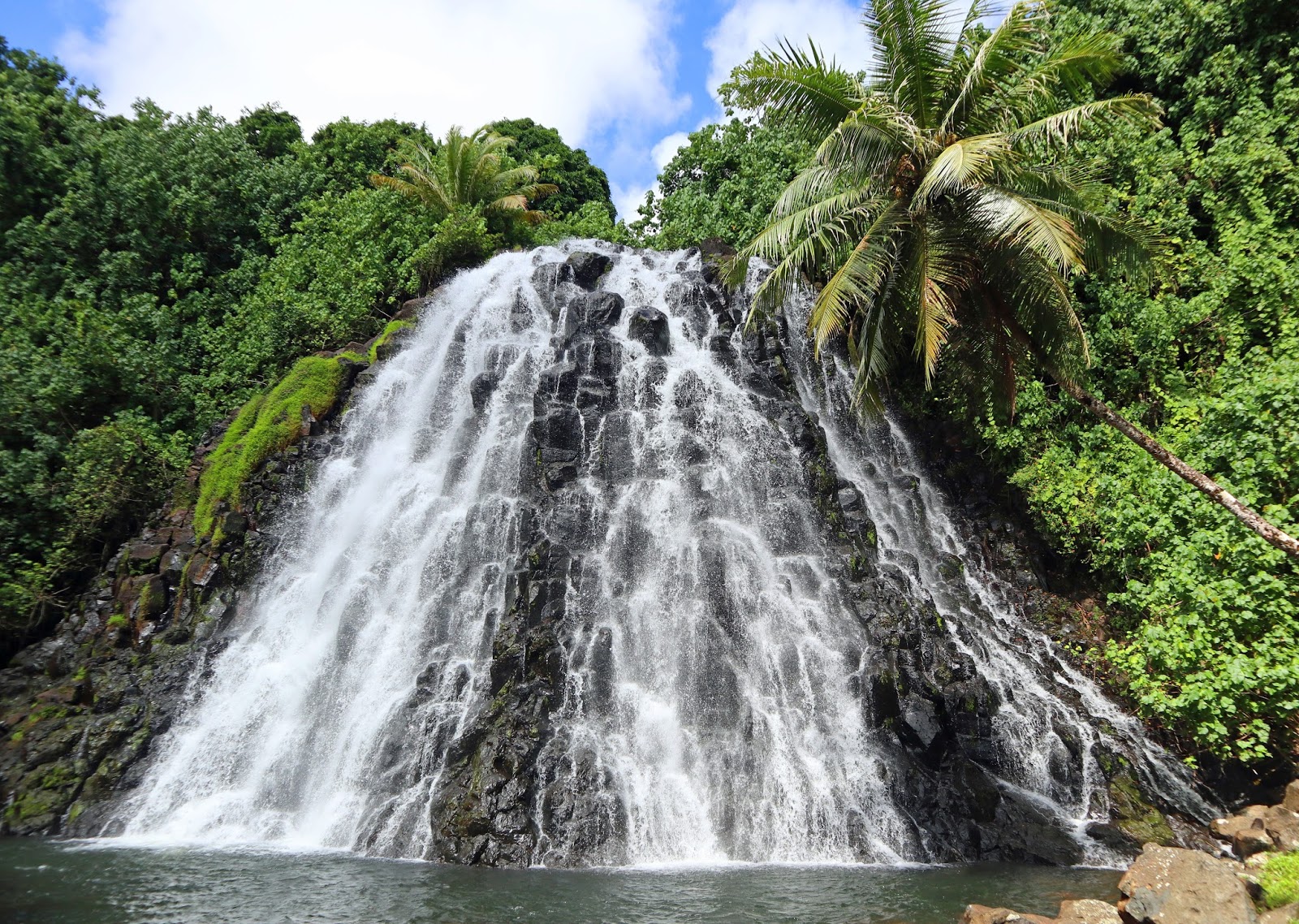 To Travel is to Live: Pohnpei