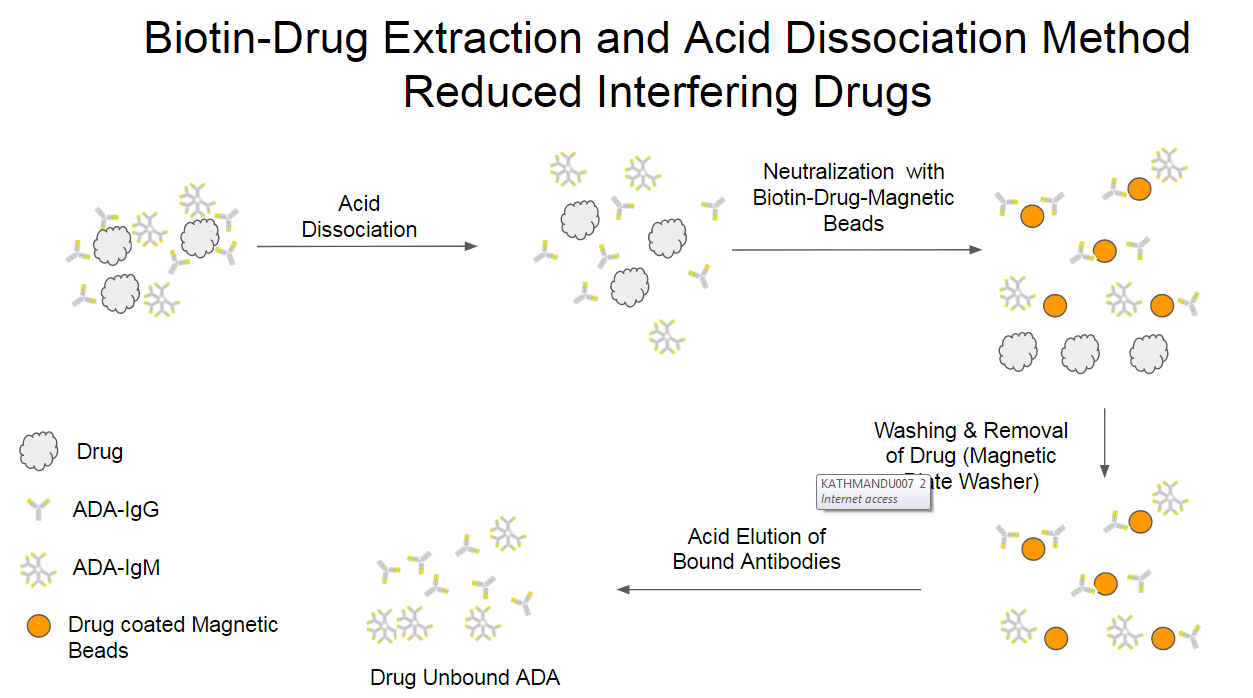 Step-wise Procedure to Optimize BEAD Method for Anti-drug Antibody ...