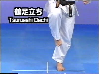 KYOKUSHINKAI KLUB "CRVENI ZMAJ"...........: DACHI – STAV ILI POLOŽAJ TELA