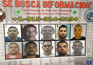 With 100 Murders in January, Is Ciudad Juárez on the Brink of a New ...