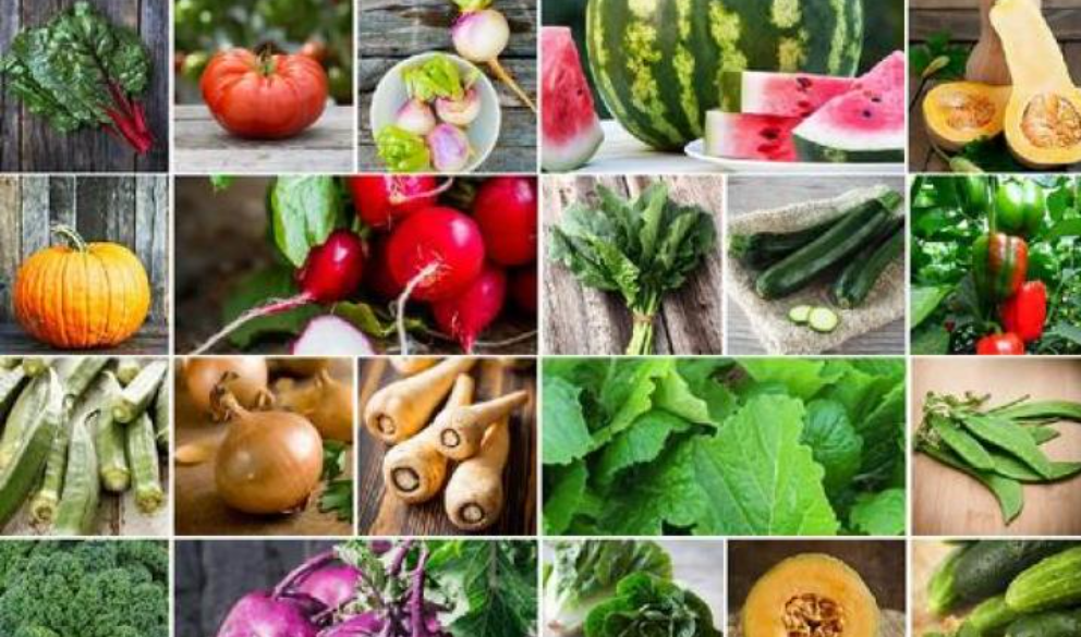 Cheryl's Frugal Corner: Eat and Shop Well