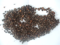 Gradina si gradinaritul, pasiuni de-o viata: salcami-inmultire prin seminte