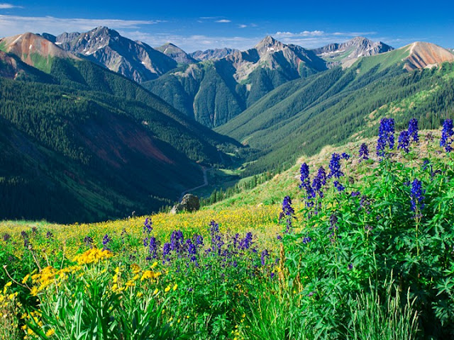 Beautifull Natural Color Wallpapers