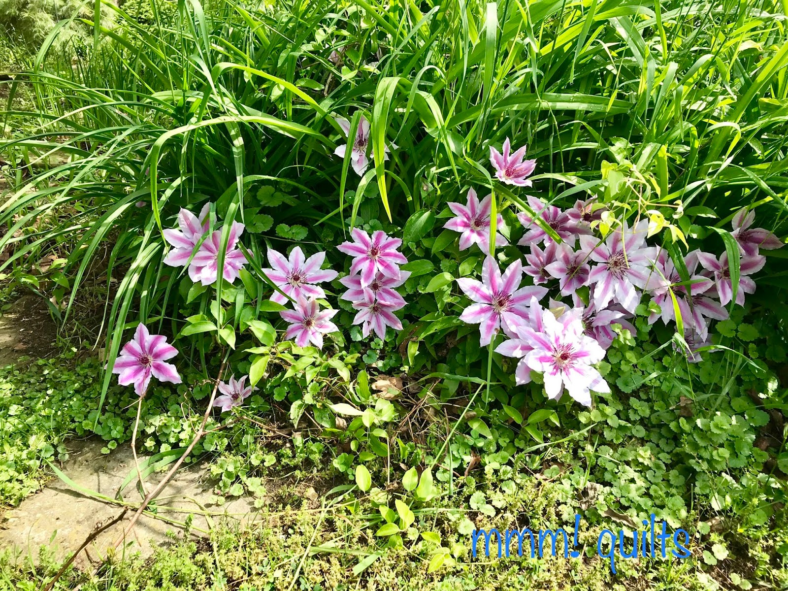 Musings of a Menopausal Melon - mmm quilts: I Like/Love #28 for May