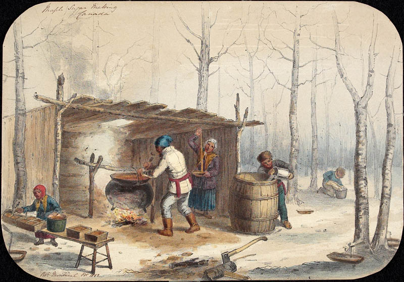 Heroes, Heroines, and History: Making Maple Sugar