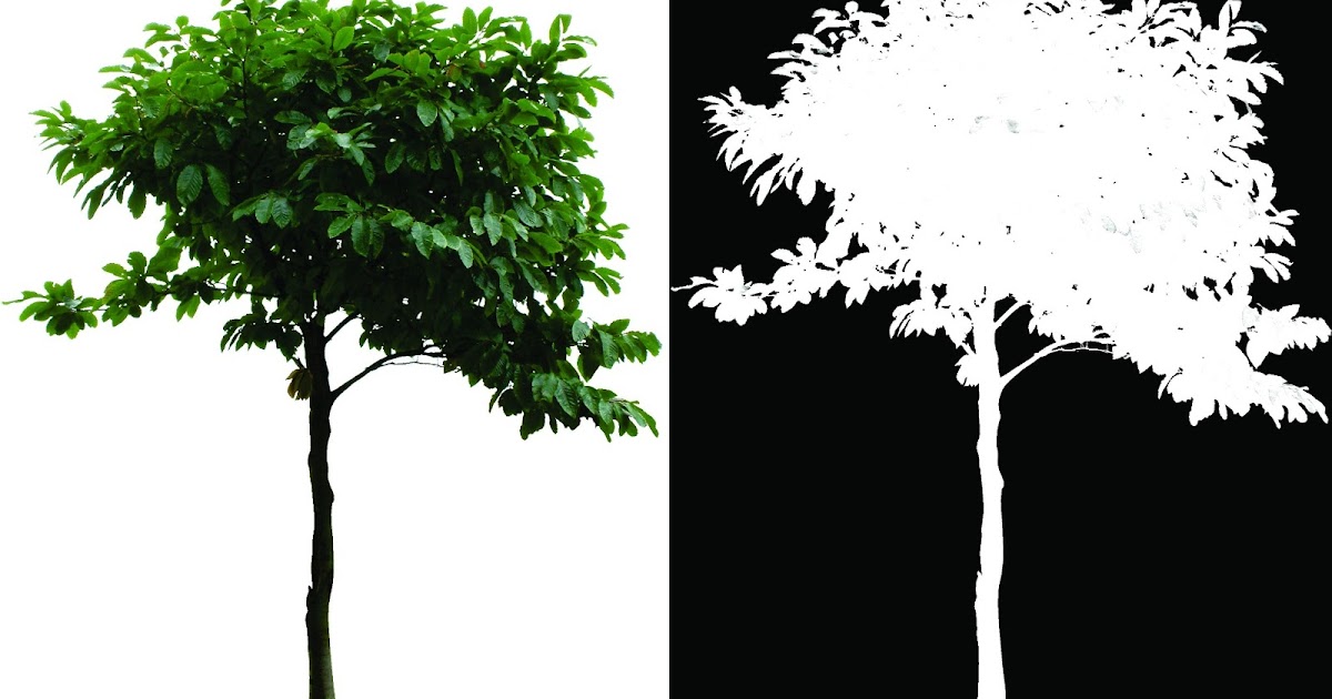 ÁRBOLES MAPS (.jpg + "ALPHA") - arquirecursos