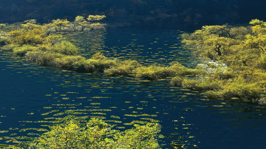 Nature looks beautiful... animation gif - Point of view