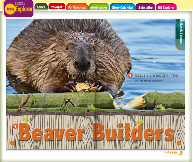 Fuentes' English Corner : Beaver Builders