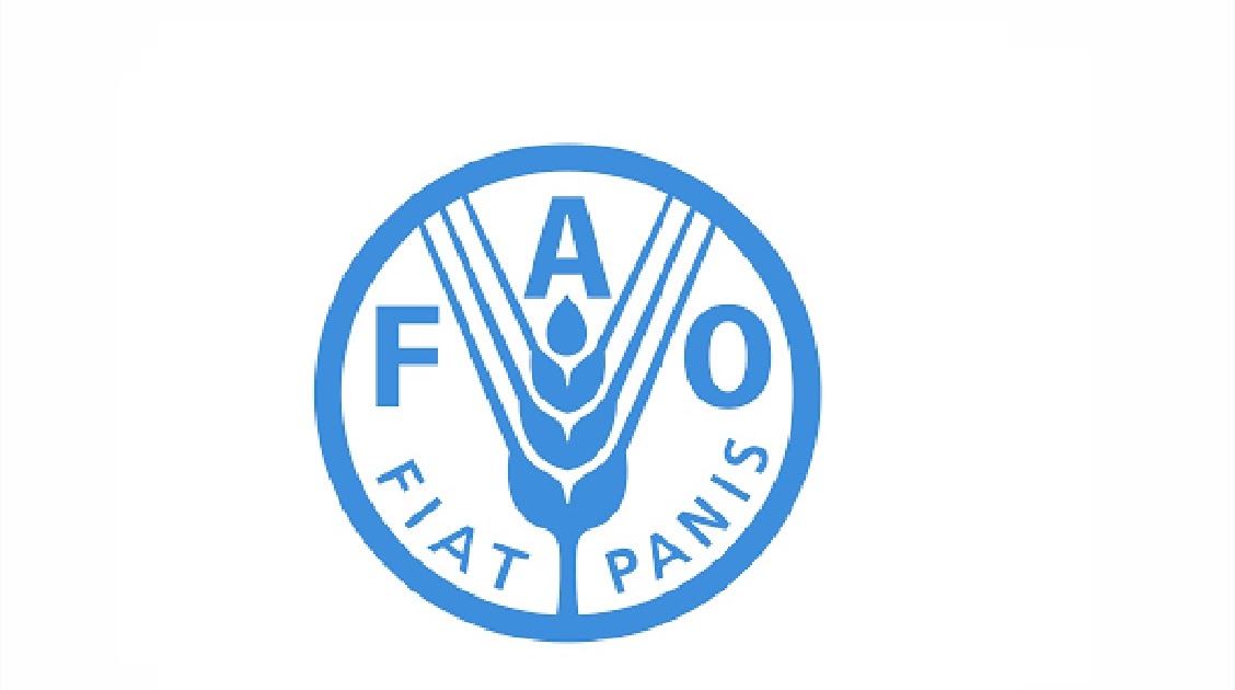 Food and Agriculture Organization FAO Management Jobs In Multan 2023